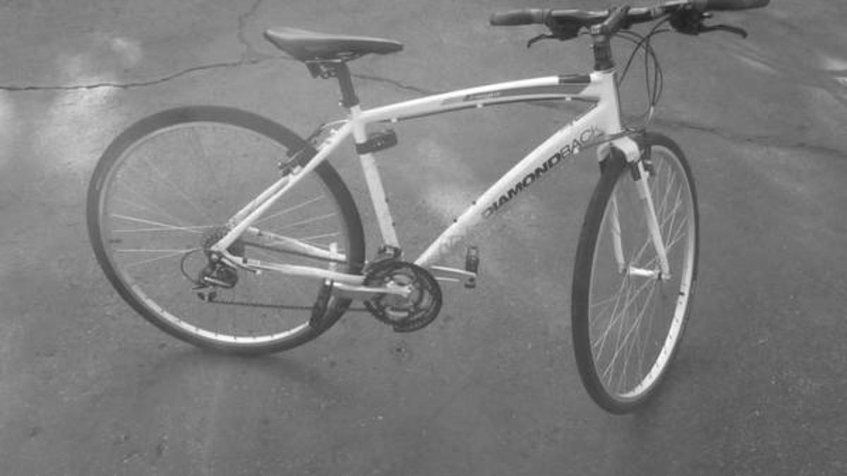 Stolen 2010 Diamondback Insight