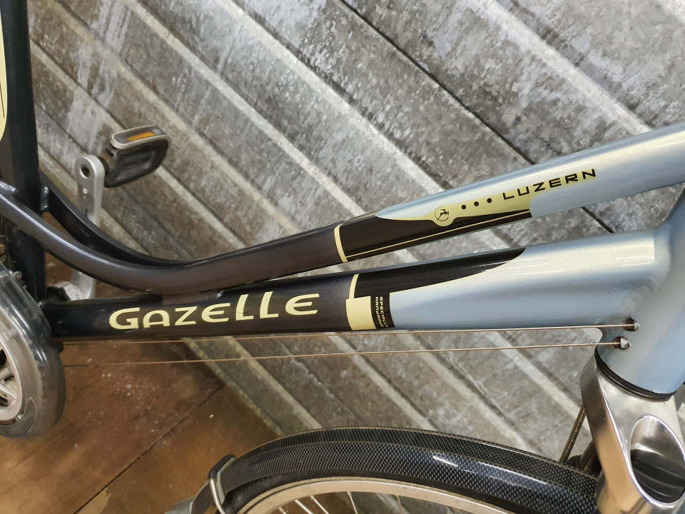 Gazelle Luzern