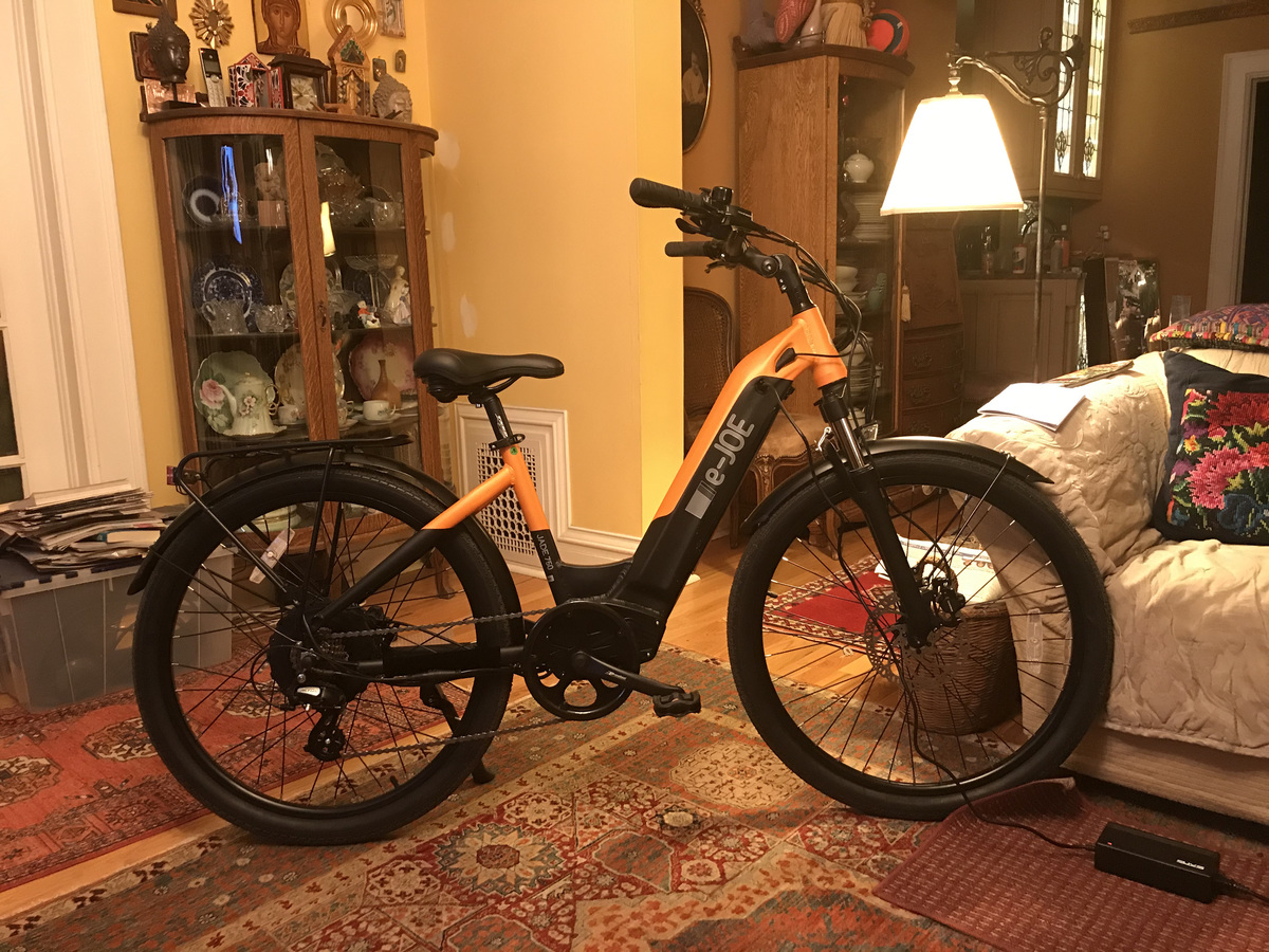 2020 e-Joe Jade Cruiser