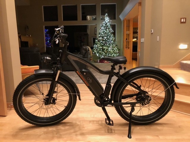 2020 Rad Power Bikes RadRover 5