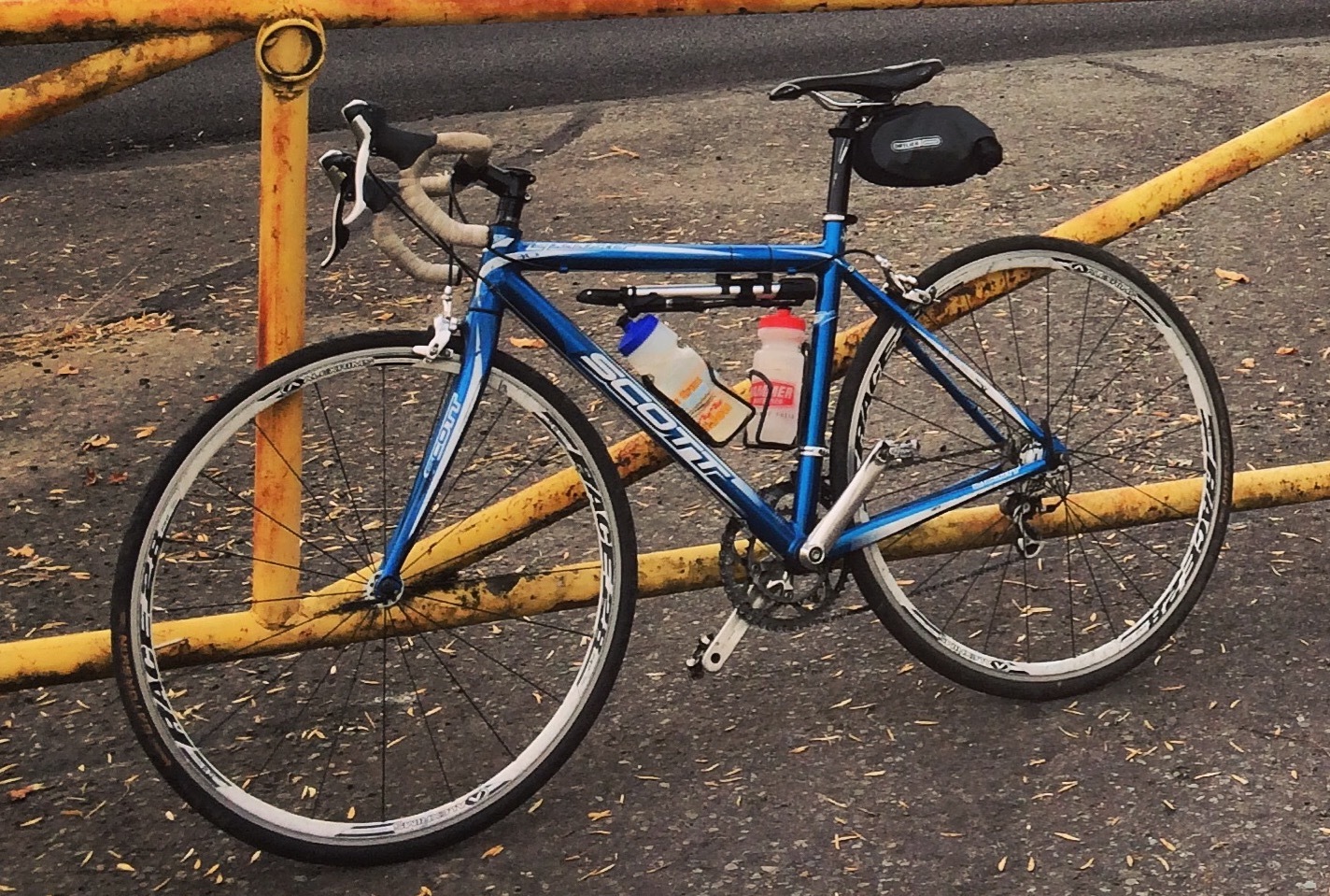 2010 SCOTT Speedster