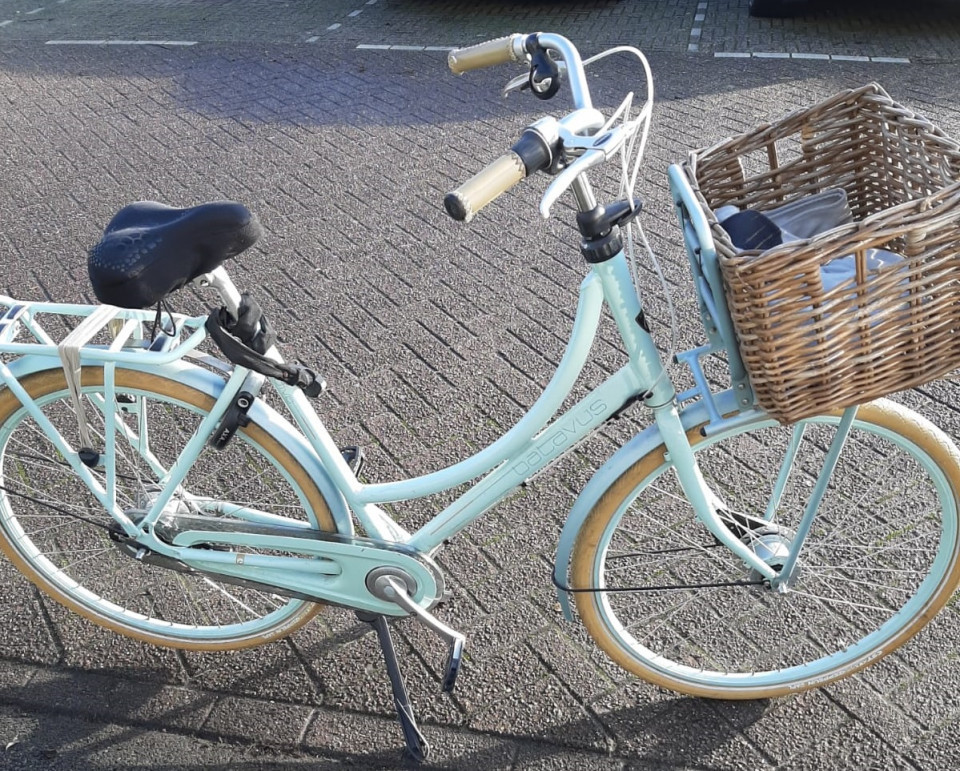 Batavus Sportieve city bike