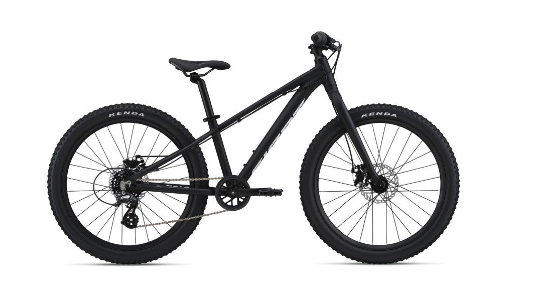 2021 Giant STP 24