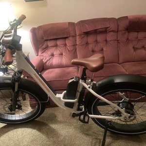 Rad Power Bikes Radrover ST 1