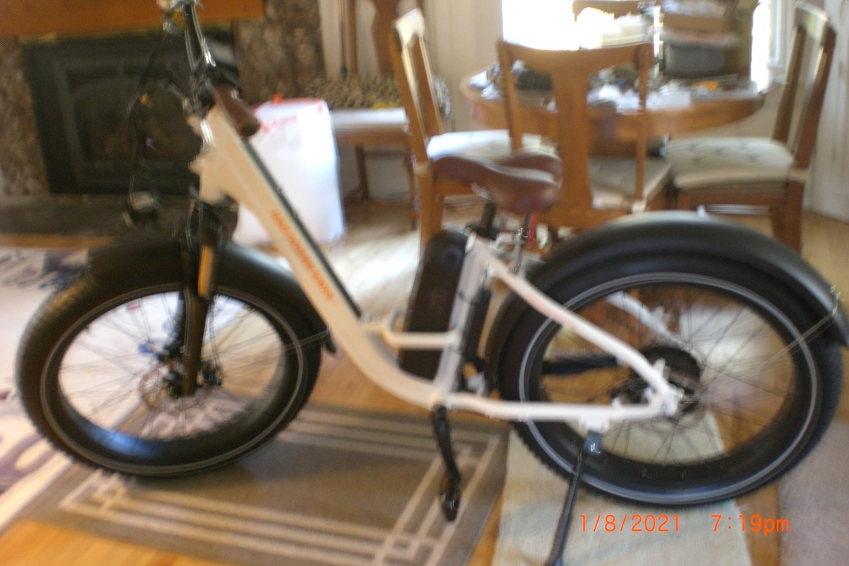 2021 Rad Power Bikes RadRover Step-Thru Electric Fat Bike 1x1