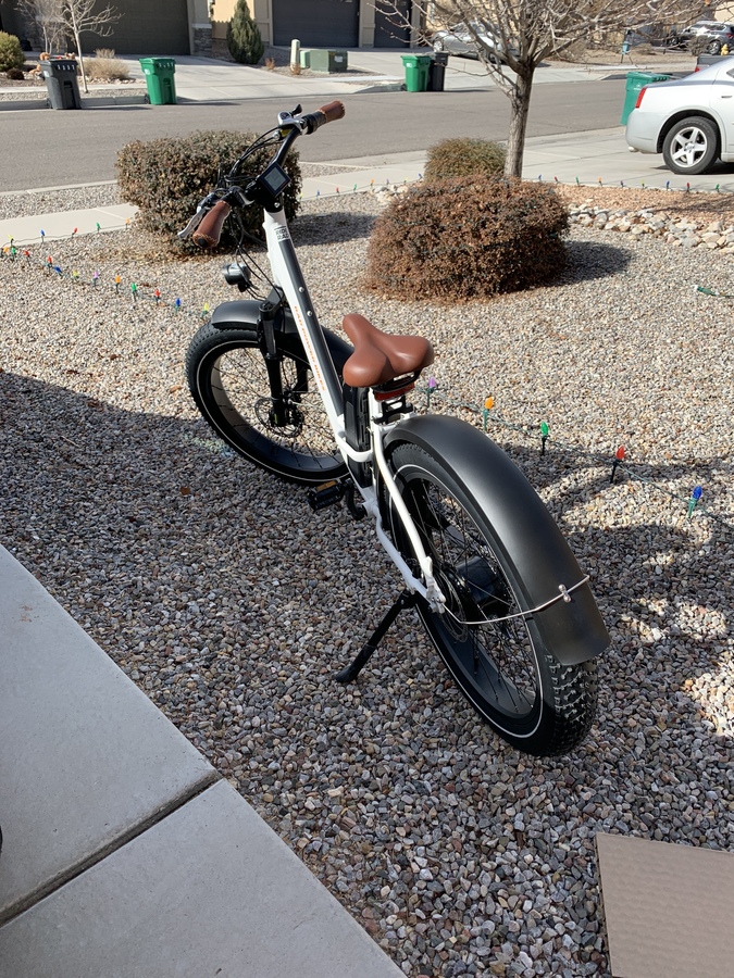 2020 Rad Power Bikes RadRover Step-Thru