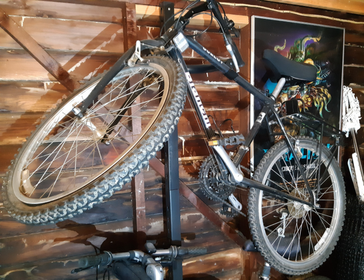 Bianchi Ocelot