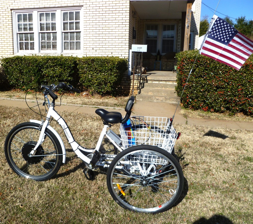 2020 step through cargo tricycle