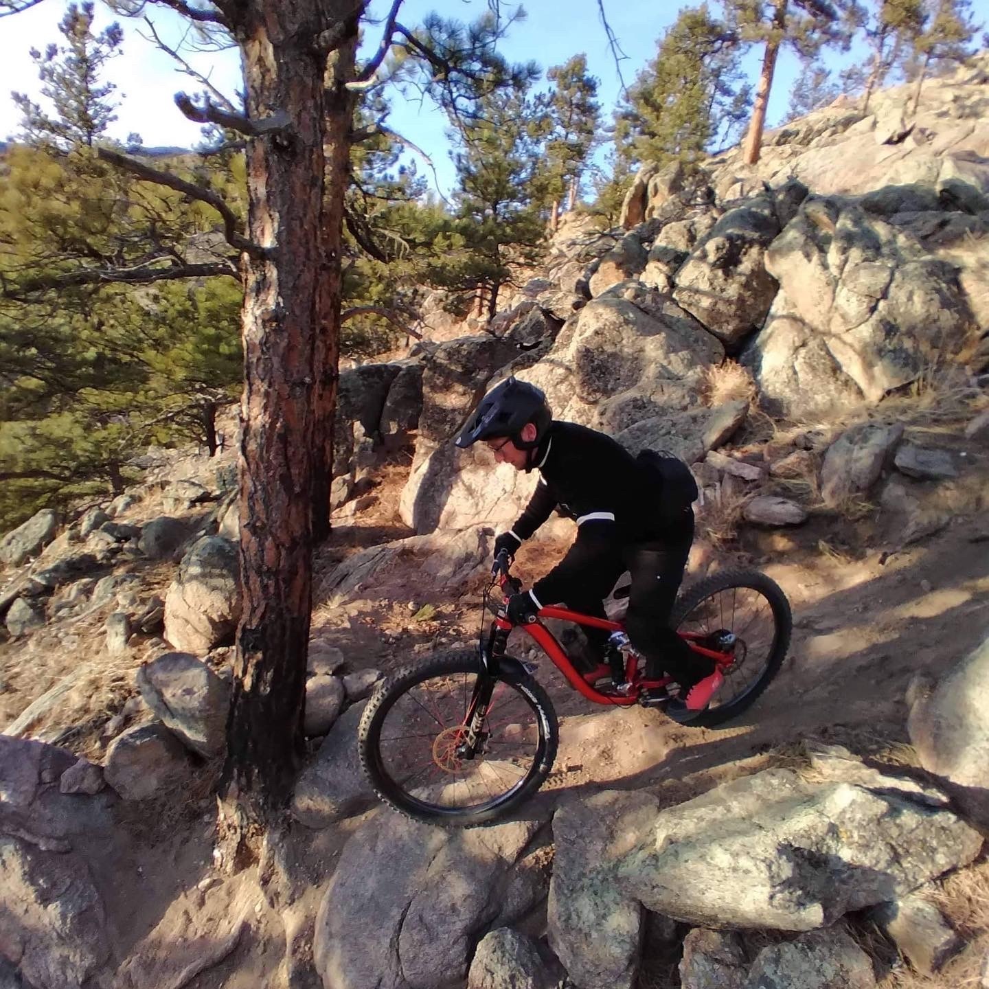 2020 REEB cycles Sqweeb v3