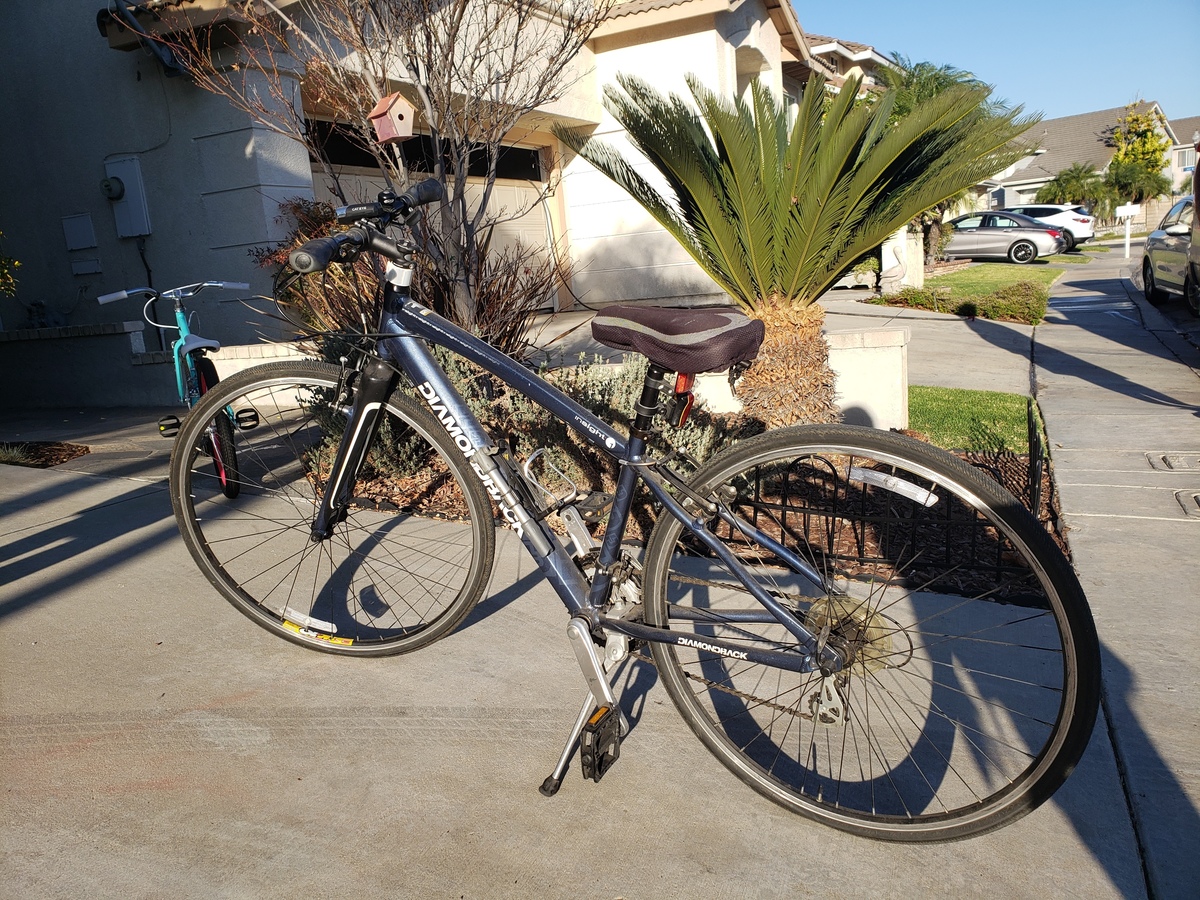 Diamondback Insight 1