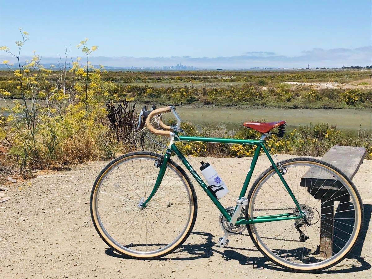 2004 Rivendell Bicycle Works Romulus