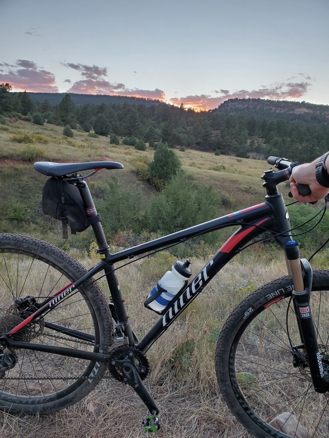 2017 Niner EMD