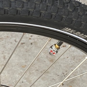 2020 Rad Power Bikes RAD 4