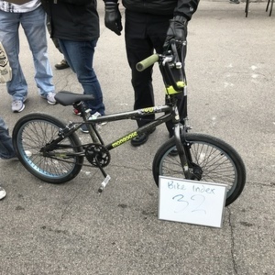 Mongoose 100