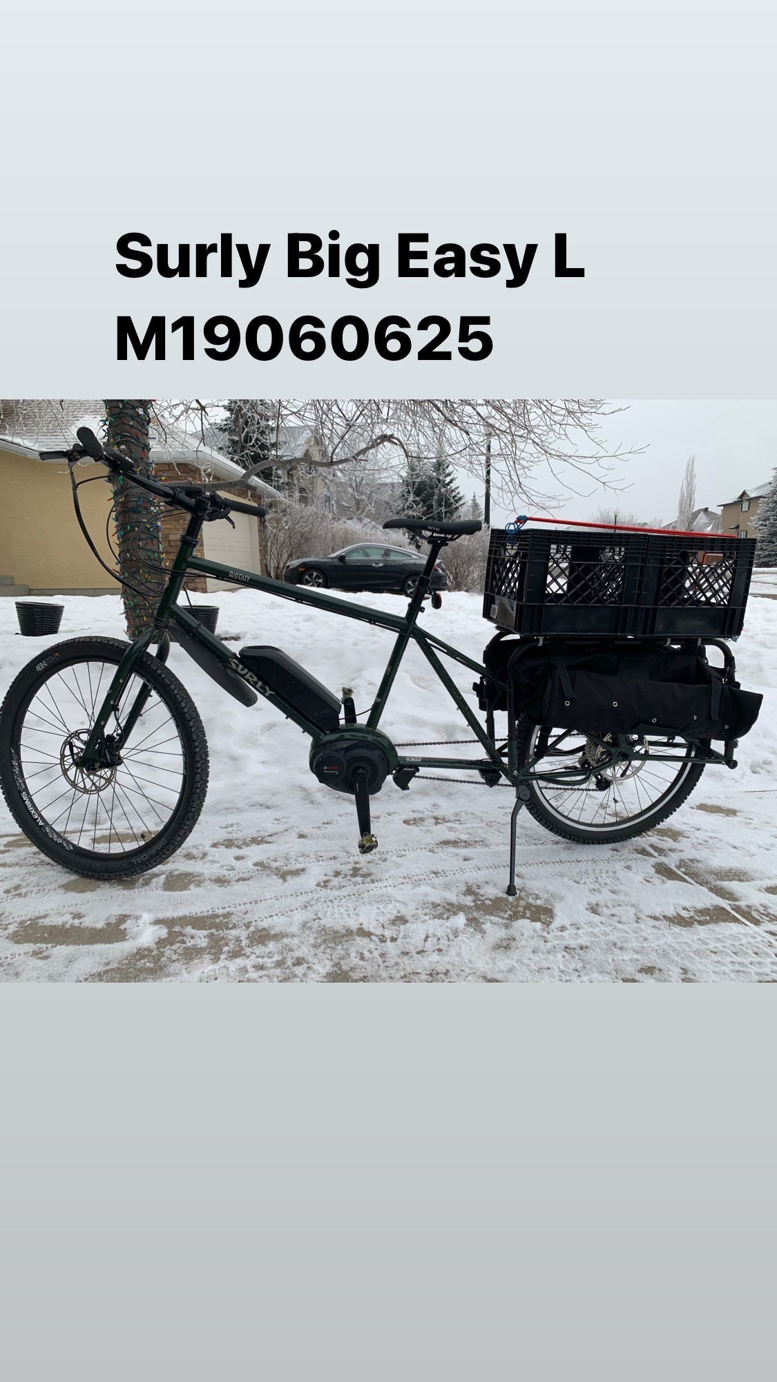 2020 Surly Big Easy L