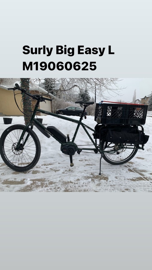 2020 Surly Big Easy L
