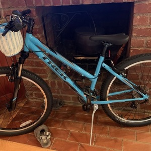 2020 Trek 820 WSD