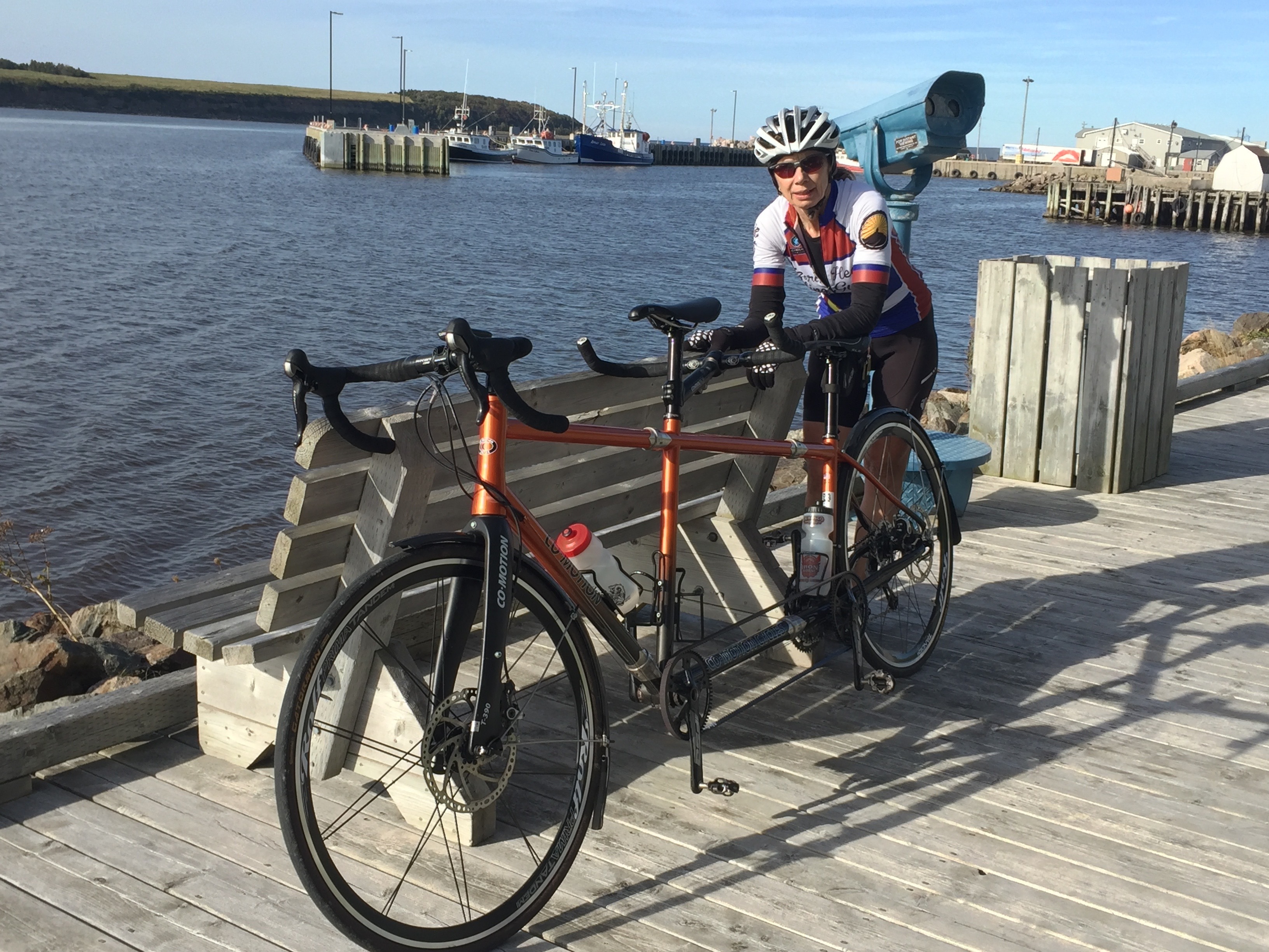 2015 Co-Motion Carrera CoPilot tandem