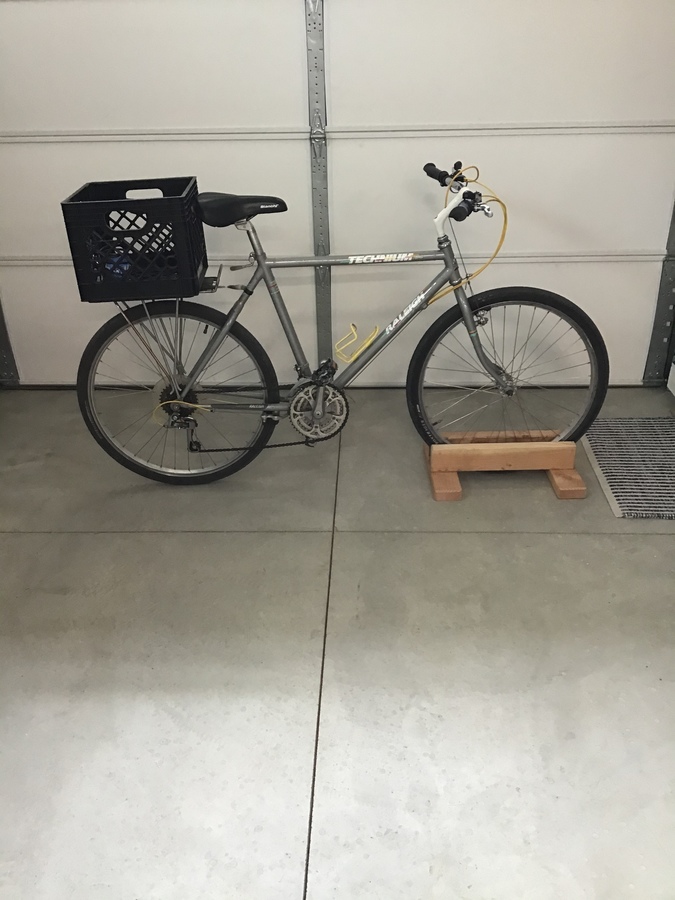 1988 Raleigh Technium The Instinct