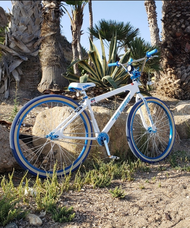 2020 SE Bikes Big Ripper