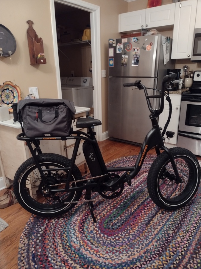 2021 Rad Power Bikes Rad Runner cargo bike rear