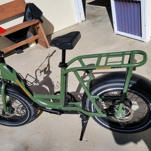 2020 Rad Power Bikes Radrunner 1