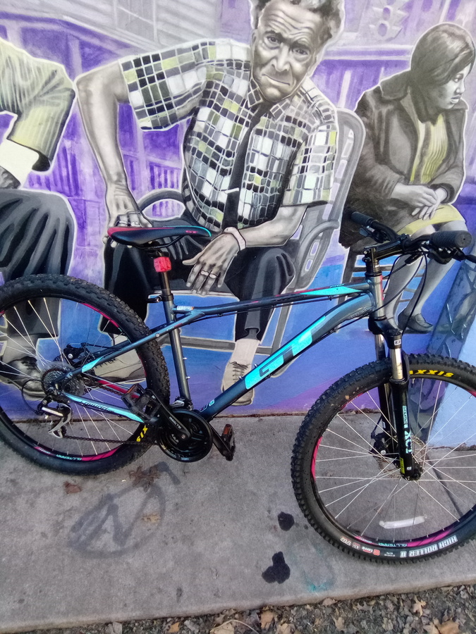 2019 GT Bicycles Triple triangle