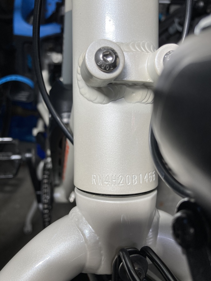 2021 Rad Power Bikes RadWagon 4