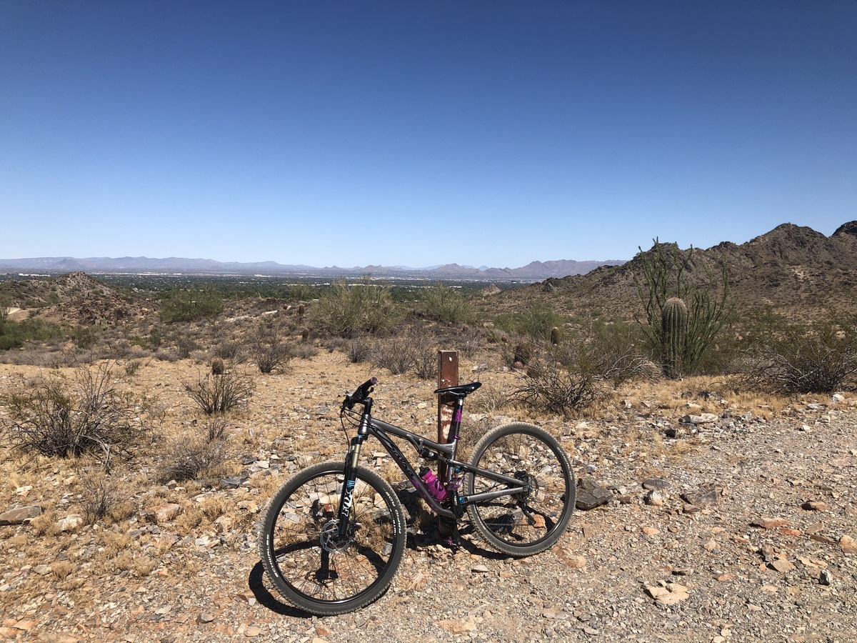 2016 Salsa Spearfish