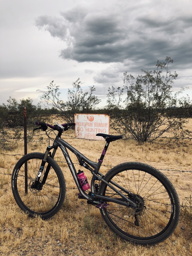 2016 Salsa Spearfish