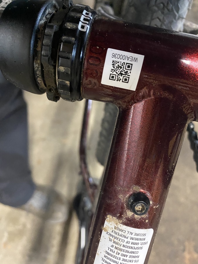 2020 Salsa Fargo