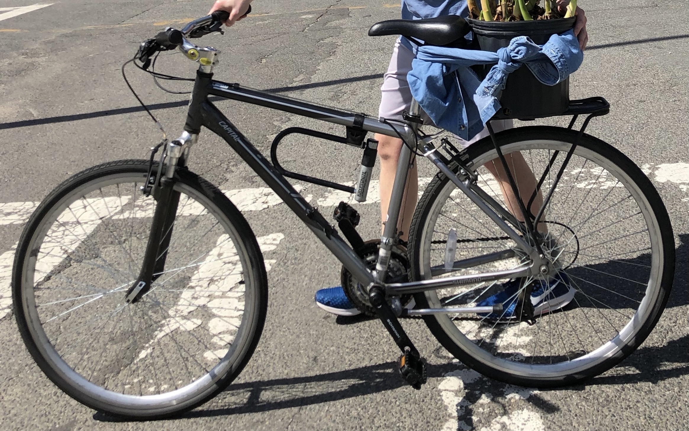 Stolen 2015 Schwinn S4060