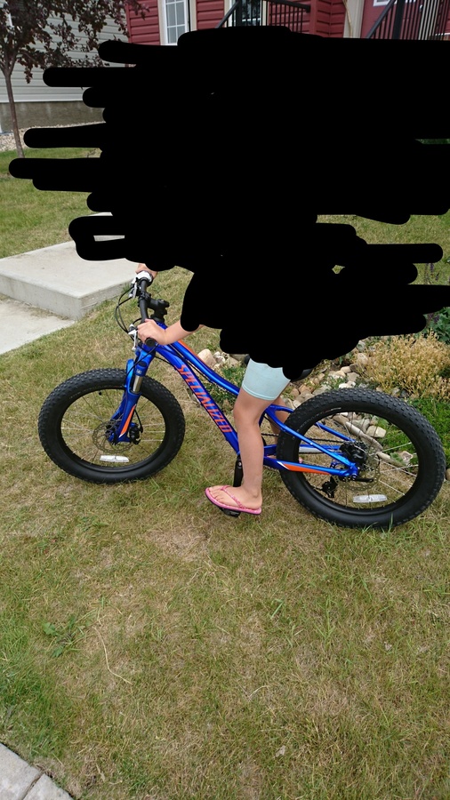 2018 Specialized Rip Rock 20