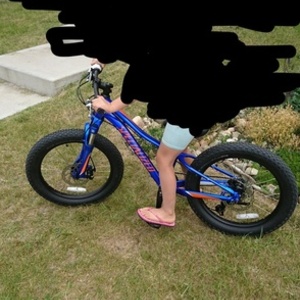 2018 Specialized Rip Rock 20