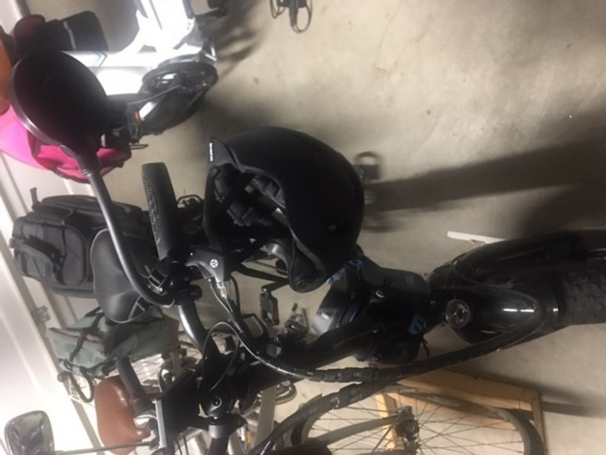 2021 Lectric eBikes Step Thru