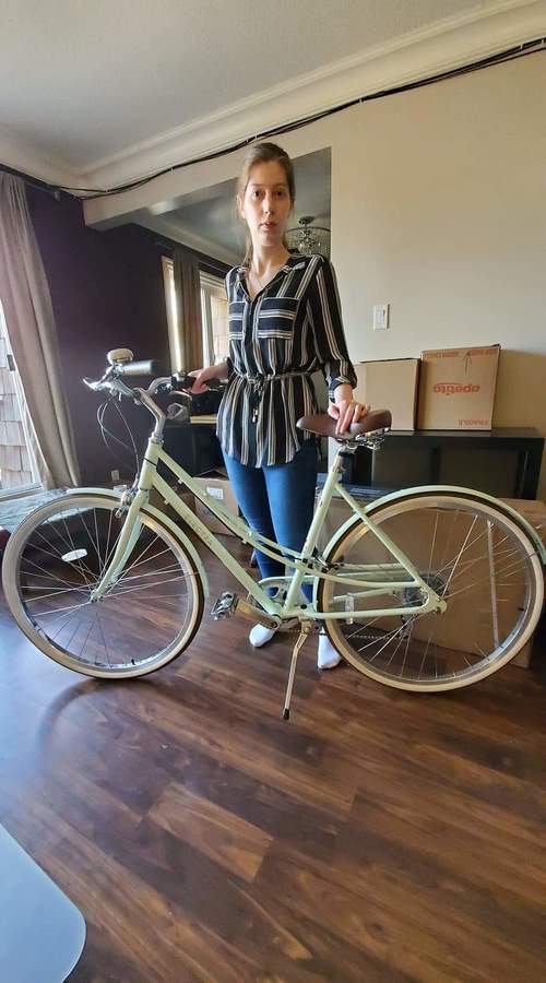 2021 Electra Loft 7D