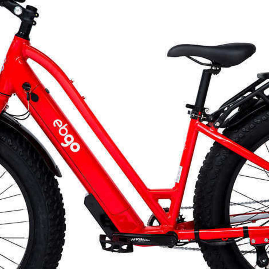 2021 Ebgo Step-Through