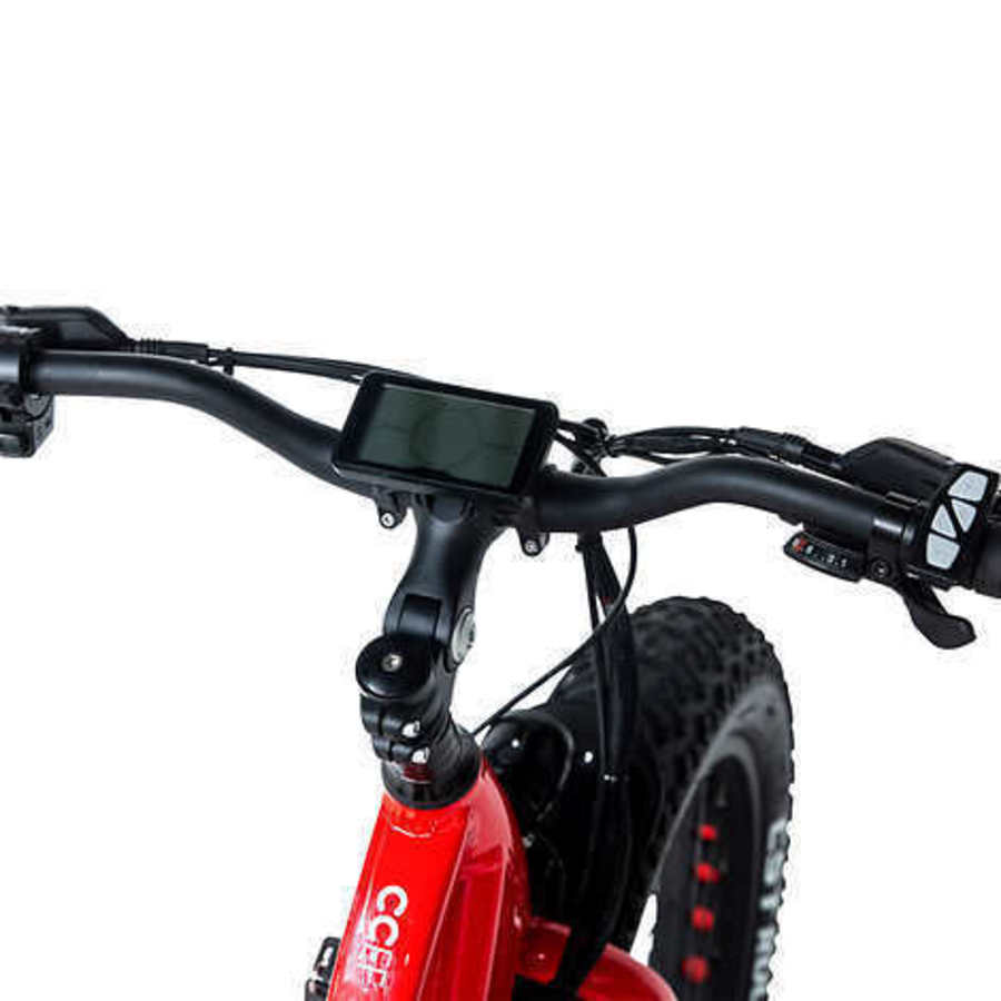 2021 Ebgo Step-Through