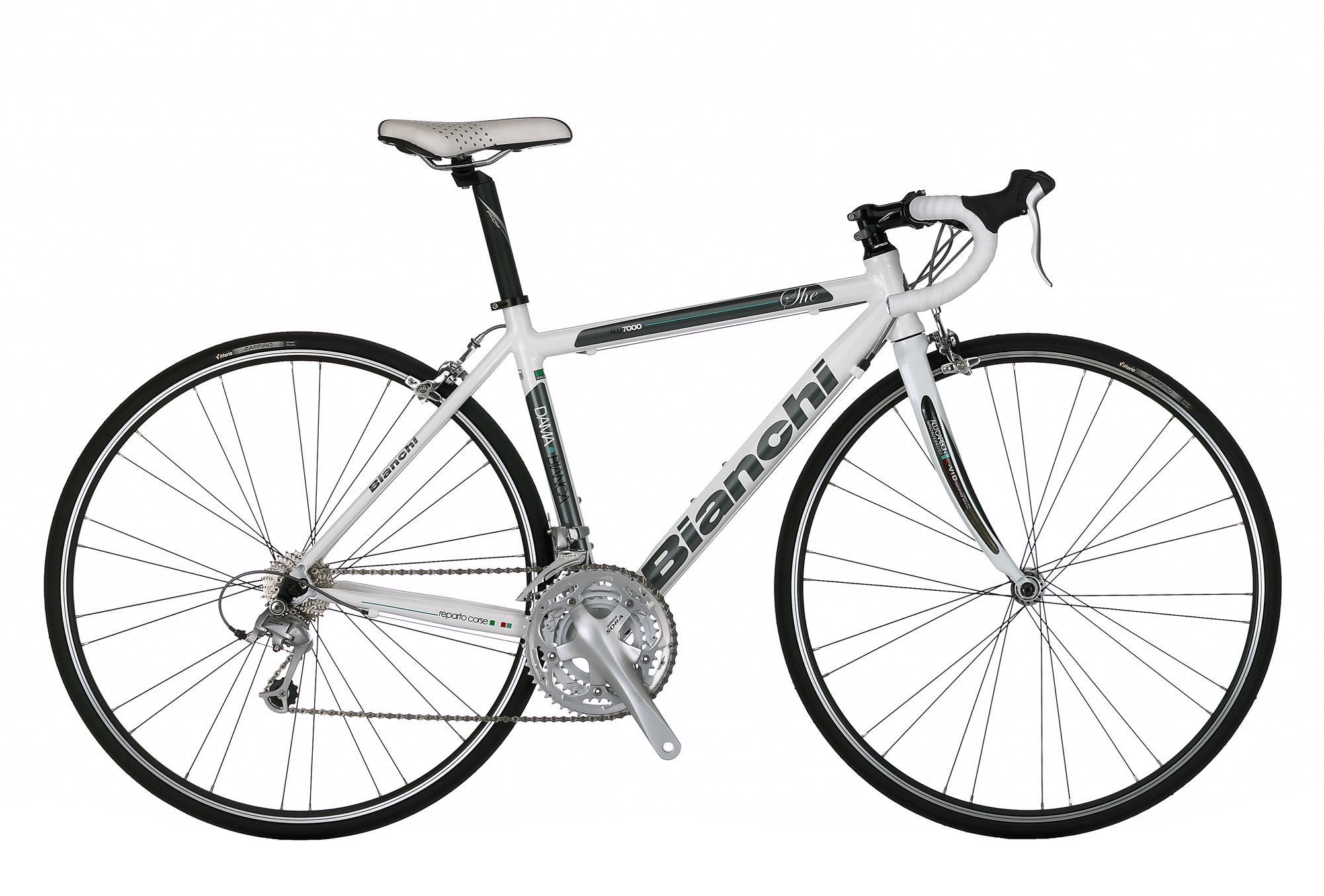 Stolen 2010 Bianchi Dama Bianca Sora