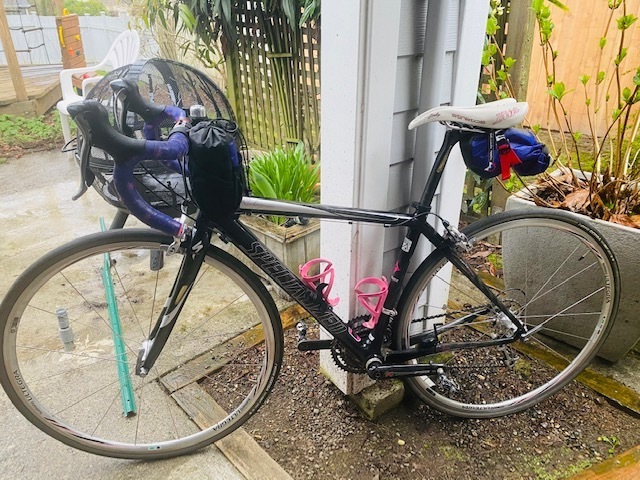 2006 Specialized Ruby Expert Triple