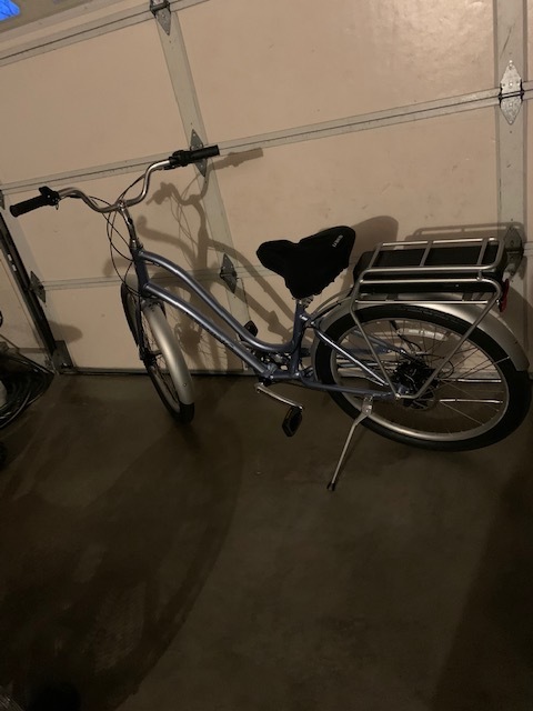2021 Trek Electra Townie Go Step Thru E-bike