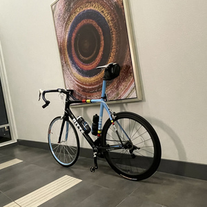 Stolen 2012 Ritte Bosberg
