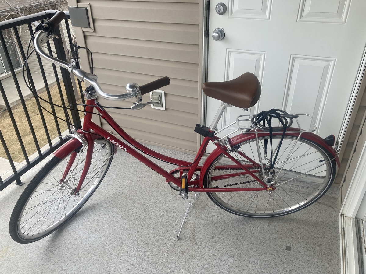 2011 Linus Dutchi 3i