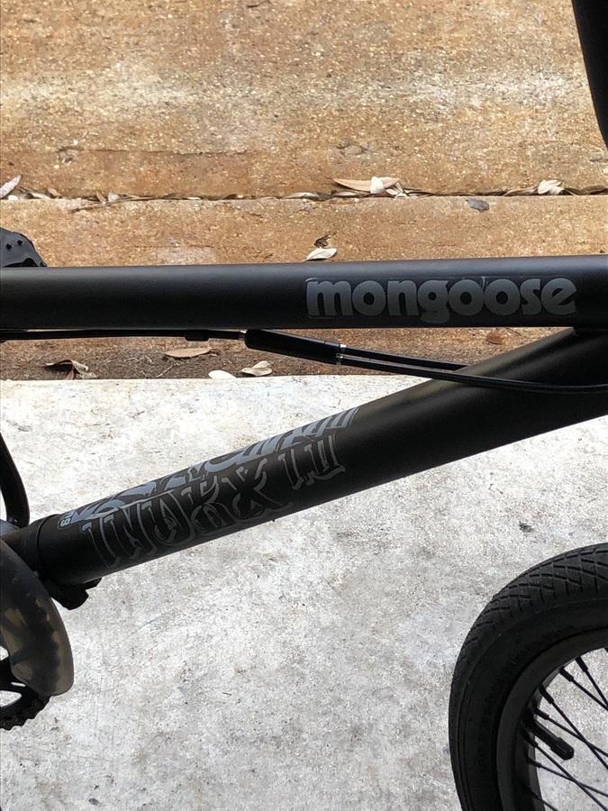 2019 Mongoose Index