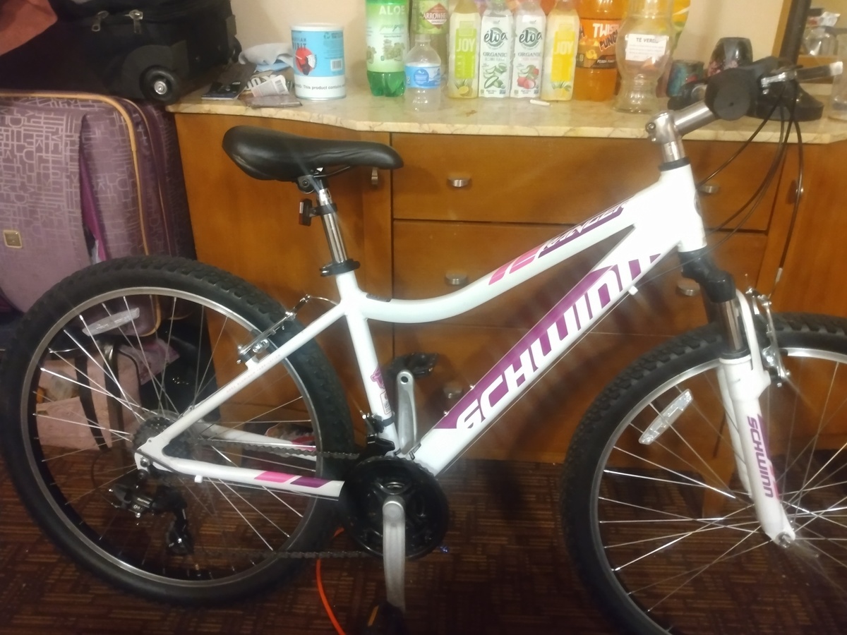 Stolen 2021 Schwinn Ranger