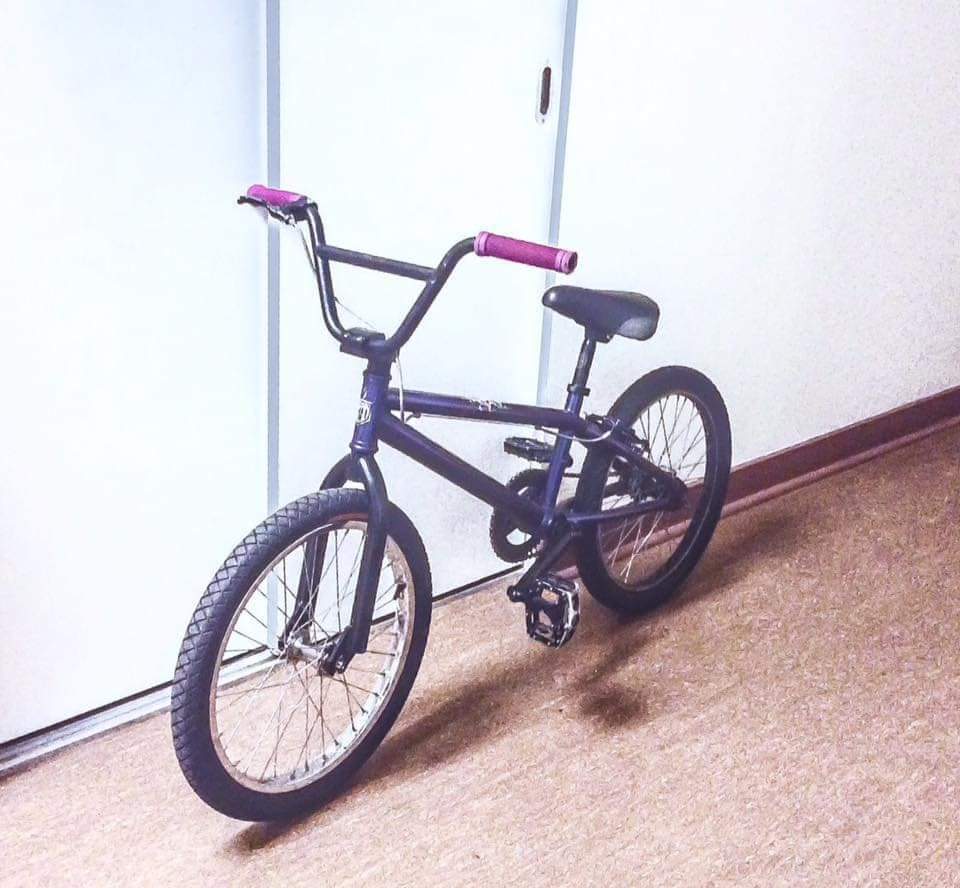 Stolen Haro BMX
