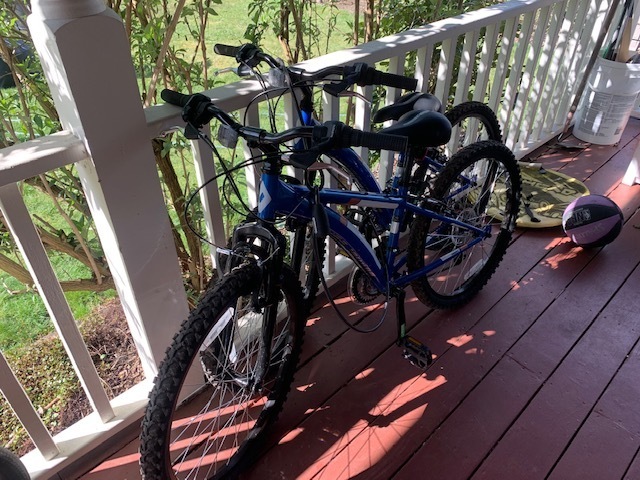 2021 Diamondback Cobra 24