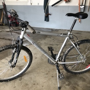 Raleigh AL 200 Mountain