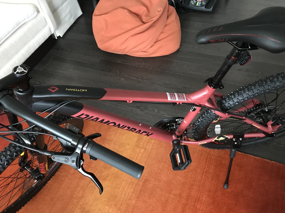 2021 Diamondback Motown