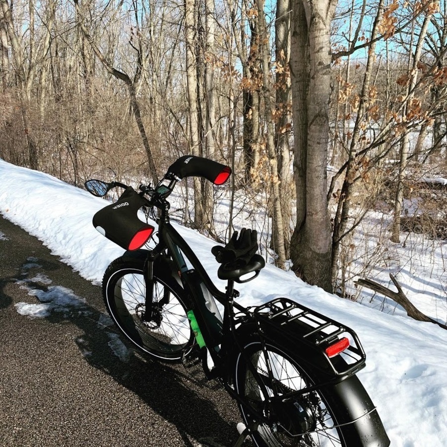 2021 Rad Power Bikes Rad Rover 5